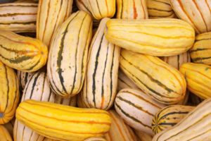 Is Squash Keto: Carbs, Varieties, and Recipes Explained