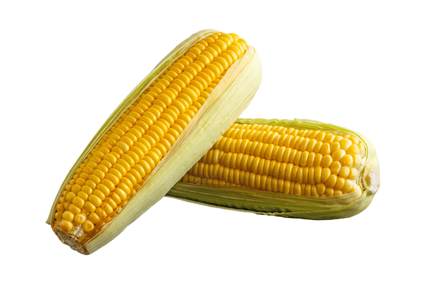 Understanding Carbs in Corn: Is it Good For Your Diet?